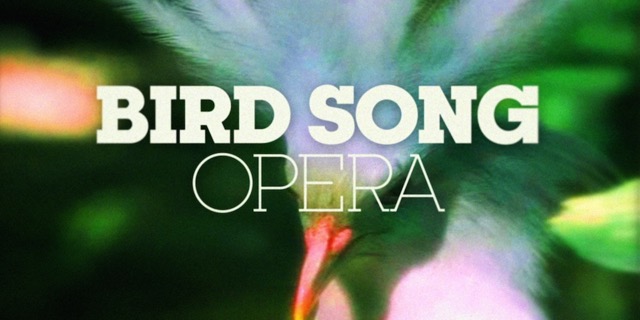 Bird Song Opera | ShakeUp music & sound design